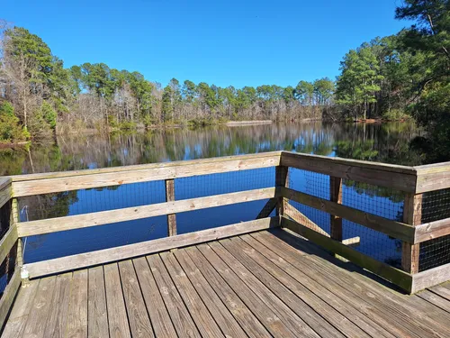 Best Lake Trails in Conway | AllTrails