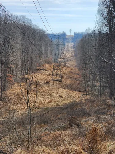 Best Hikes and Trails in Boyce Park | AllTrails