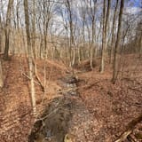 Plateau Trail, Ohio - 3,239 Reviews, Map | AllTrails