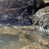 IBM Glen Loop, New York - 845 Reviews, Map | AllTrails