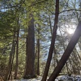 IBM Glen Loop, New York - 845 Reviews, Map | AllTrails