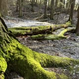 IBM Glen Loop, New York - 845 Reviews, Map | AllTrails