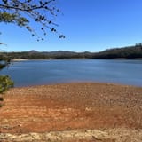Lake Blue Ridge Loop , Georgia - 838 Reviews, Map | AllTrails