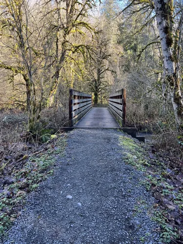 Best Wild Flowers Trails in Maple Valley | AllTrails