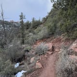 Hangover Trail, Arizona - 1,480 Reviews, Map | AllTrails