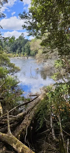 Best Hikes and Trails in Pieman River State Reserve | AllTrails