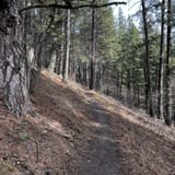 Mineral Ridge National Recreation Trail, Idaho - 3,344 Reviews, Map ...