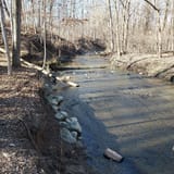 Paul Ruster Trail, Indiana - 235 Reviews, Map | AllTrails