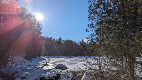 Best Forest Trails in Hoffman Notch Wilderness | AllTrails