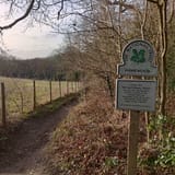 Petts Wood and Hawkwood Circular, London, England - 197 Reviews, Map ...