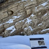 Dinosaur Ridge, Colorado - 2,229 Reviews, Map | AllTrails