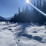 Emerald Lake Loop, British Columbia, Canada - 2,444 Reviews, Map ...