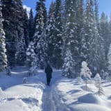 Emerald Lake Loop, British Columbia, Canada - 2,444 Reviews, Map ...