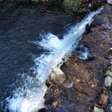 Bard Springs, Arkansas - 24 Reviews, Map | AllTrails