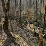 Cat Gap Loop Trail, North Carolina - 731 Reviews, Map | AllTrails