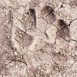 San Gabriel River Trail and Goodwater Loop, Texas - 917 Reviews, Map ...