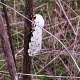 San Gabriel River Trail and Goodwater Loop, Texas - 917 Reviews, Map ...