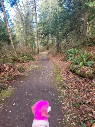 Best Bird Watching Trails in Spring Lake/Lake Desire Park | AllTrails