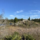 Aripeka Preserve, Florida - 143 Reviews, Map | AllTrails