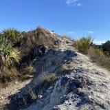 Aripeka Preserve, Florida - 143 Reviews, Map | AllTrails