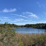 Aripeka Preserve, Florida - 143 Reviews, Map | AllTrails