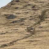 Rapaki Track, Canterbury, New Zealand - 517 Reviews, Map | AllTrails