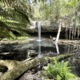 Lower Kalimna Falls, Victoria, Australia - 85 Reviews, Map | AllTrails
