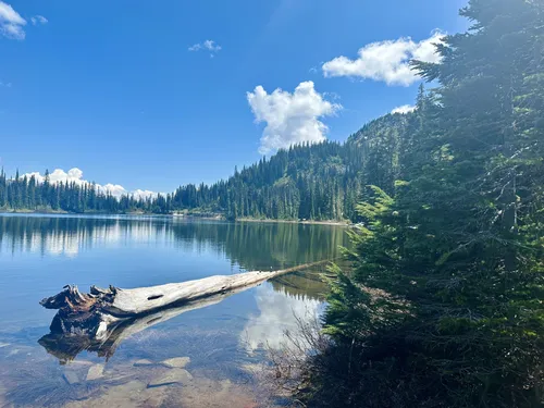 10 Best Trails and Hikes in Longmire | AllTrails