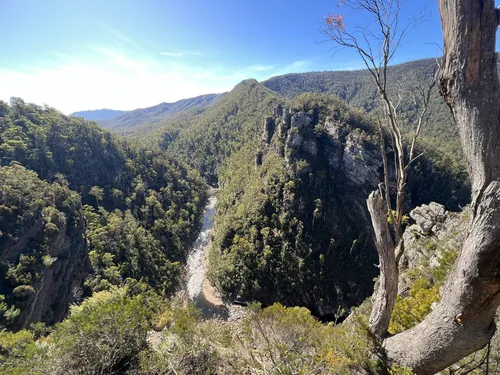 Best Hikes and Trails in Alum Cliffs State Reserve | AllTrails