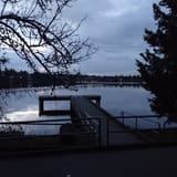 Seward Park Perimeter Loop, Washington - 2,187 Reviews, Map | AllTrails