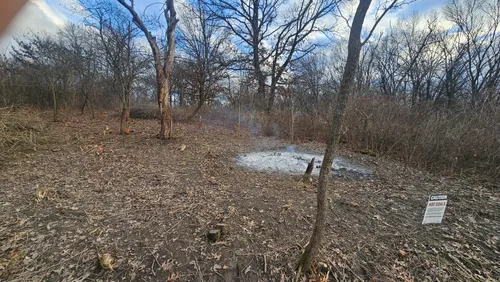 Best Hikes and Trails in Sand Ridge Nature Preserve | AllTrails