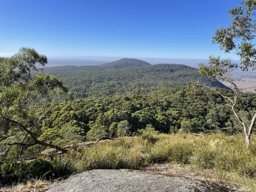 Best Hikes and Trails in Mount Cole State Forest | AllTrails