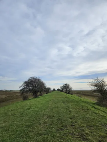 Best Hikes and Trails in Frampton Marsh Nature Reserve | AllTrails