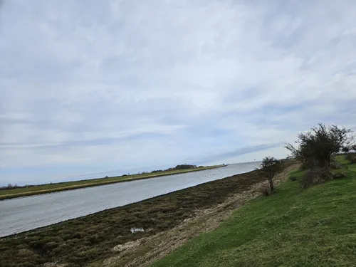 Best Hikes and Trails in Frampton Marsh Nature Reserve | AllTrails