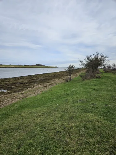 Best Hikes and Trails in Frampton Marsh Nature Reserve | AllTrails