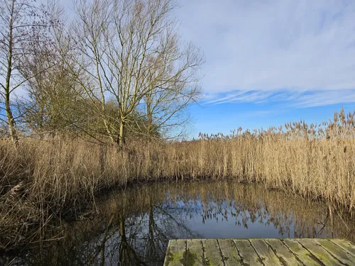 Best Hikes and Trails in Frampton Marsh Nature Reserve | AllTrails