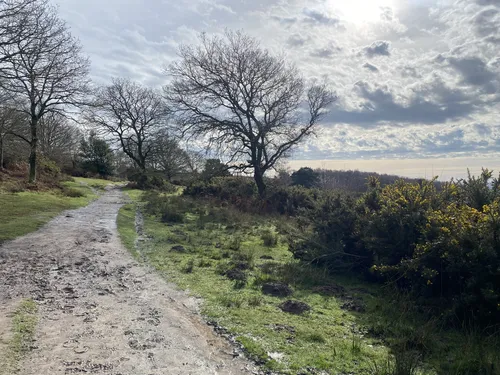Best Hikes and Trails in Ashdown Forest | AllTrails
