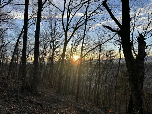 Best Hikes and Trails in Tannery Knobs Mountain Bike Park | AllTrails