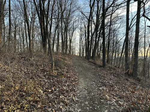 Best Hikes and Trails in Tannery Knobs Mountain Bike Park | AllTrails