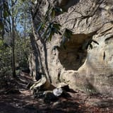 Angel Windows Trail, Kentucky - 1,201 Reviews, Map | AllTrails