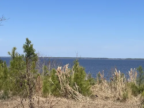 Best Hikes and Trails in Cherry Point | AllTrails