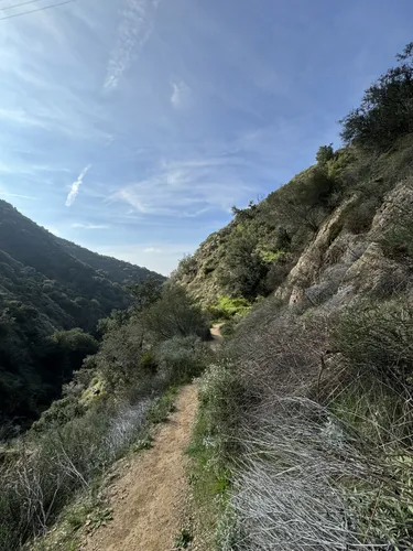 10 Best Trails and Hikes in Altadena | AllTrails