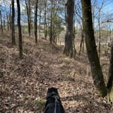 Cedar Lake Trail, Oklahoma - 137 Reviews, Map | AllTrails