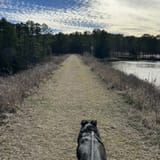 Cedar Lake Trail, Oklahoma - 137 Reviews, Map | AllTrails