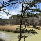 Cedar Lake Trail, Oklahoma - 137 Reviews, Map | AllTrails