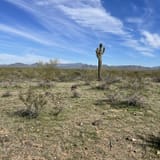 Apache Wash Loop Trail, Arizona - 1,919 Reviews, Map | AllTrails