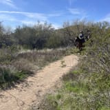 Apache Wash Loop Trail, Arizona - 1,919 Reviews, Map | AllTrails