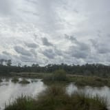 Boardman Pond Observation Platform Trail, Florida - 73 Reviews, Map ...