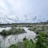 Boardman Pond Observation Platform Trail, Florida - 73 Reviews, Map ...