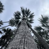 Boardman Pond Observation Platform Trail, Florida - 73 Reviews, Map ...